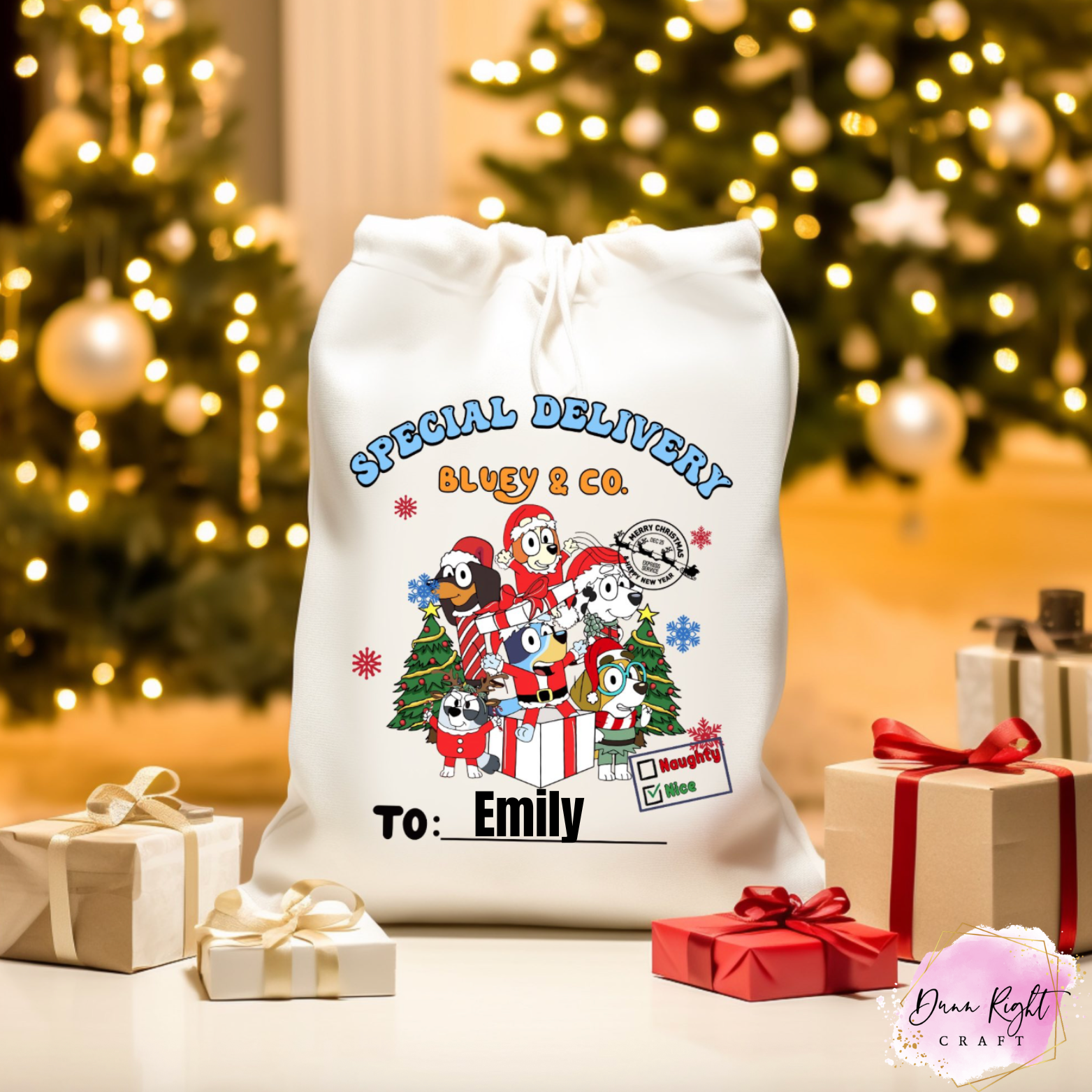 Bluey & Co. Christmas Sack Personalized – Dunn Right Craft